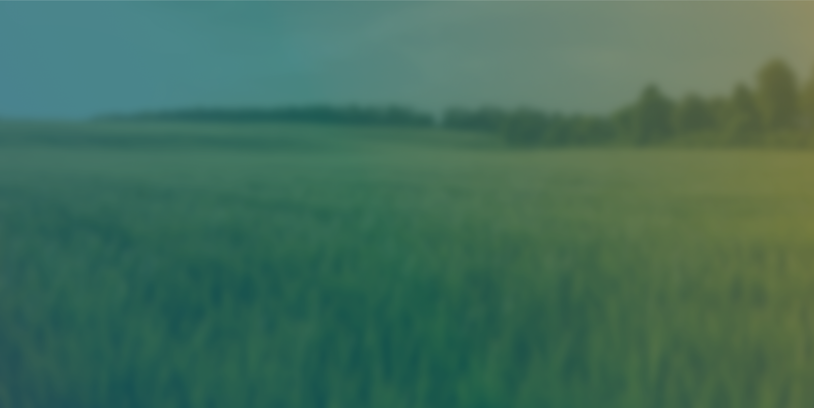 Trauma Awareness Toolkit