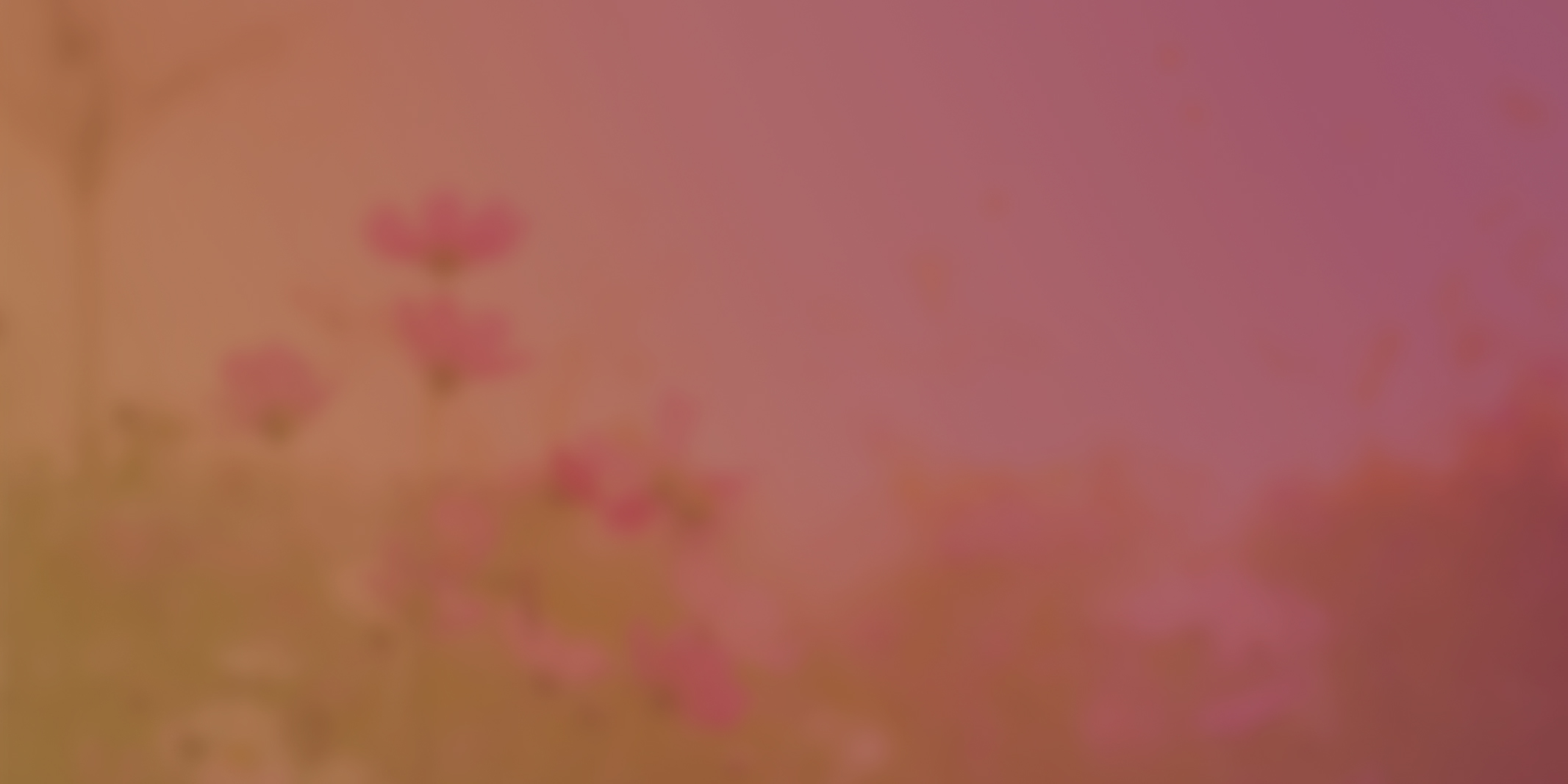 Substance Use Prevention Toolkit